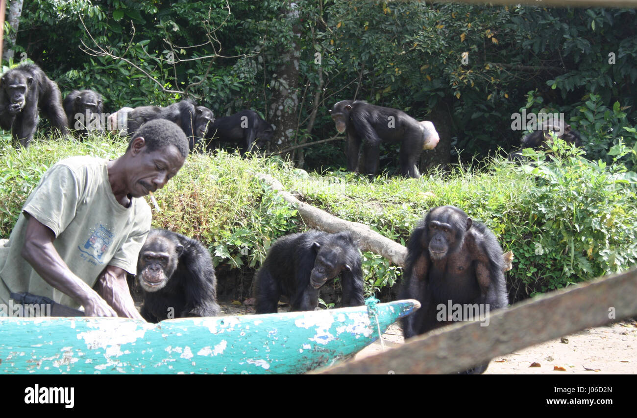 MONKEY ISLAND, LIBERIA: FEAST YOUR EYES on this paradise island where ...