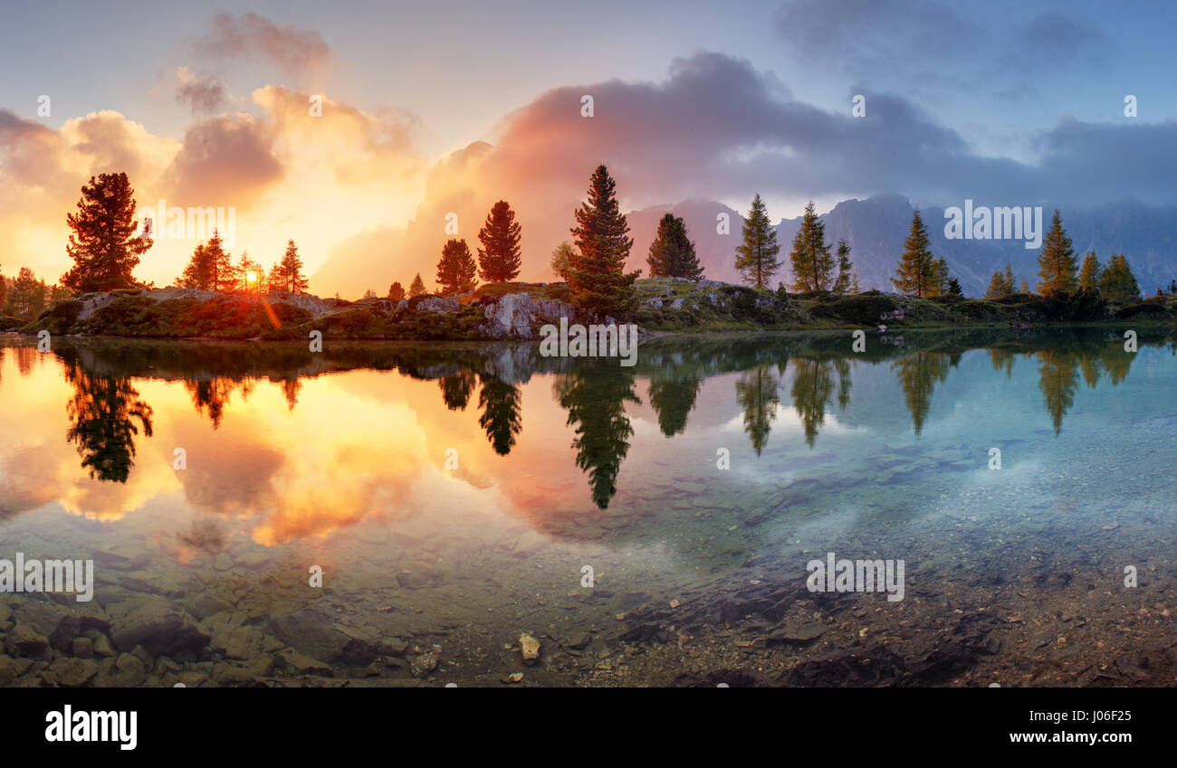 Tree reflection in water hi-res stock photography and images - Alamy