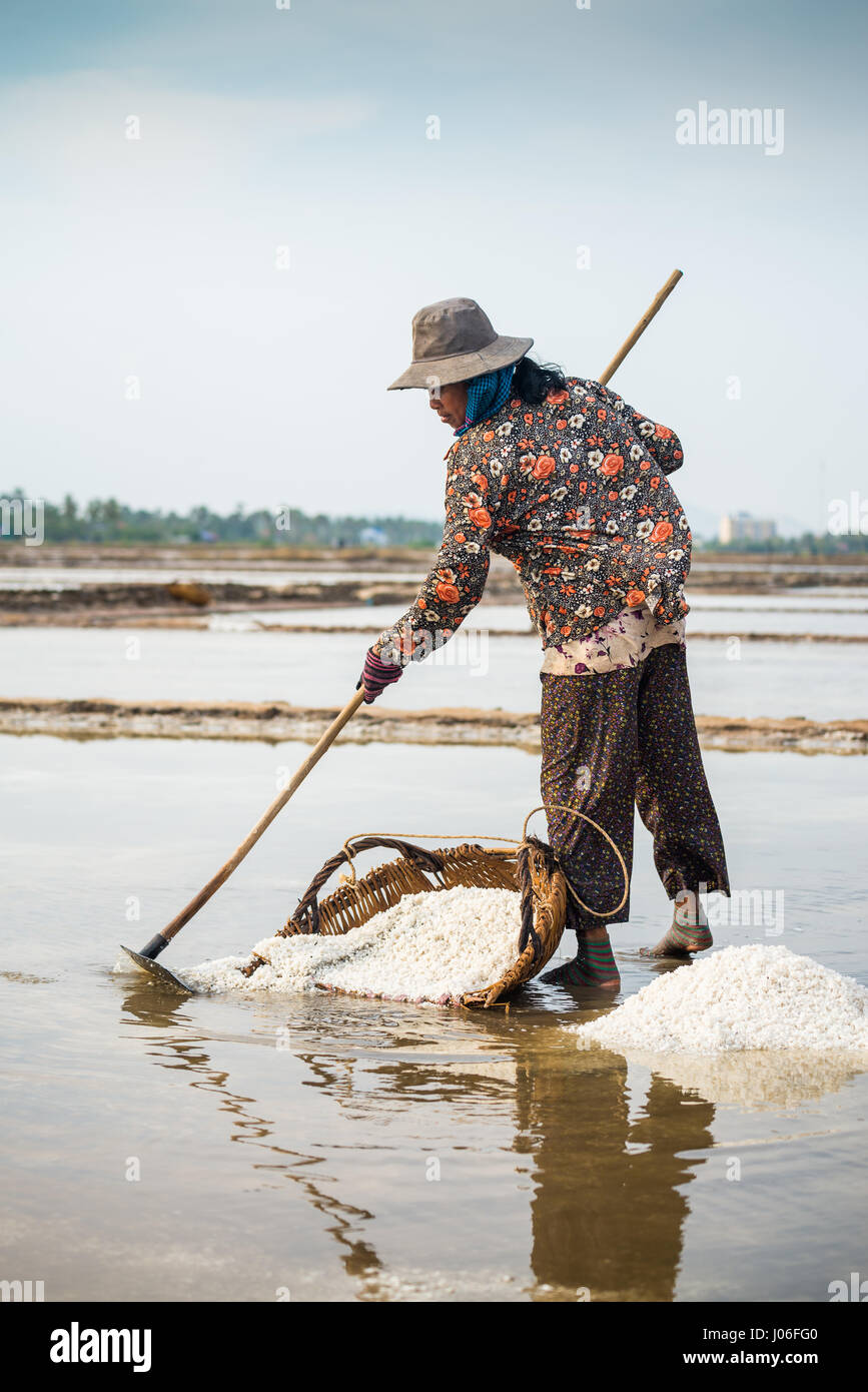 Local people working in the salt fields of Kampot, Cambodia, Asia Stock ...