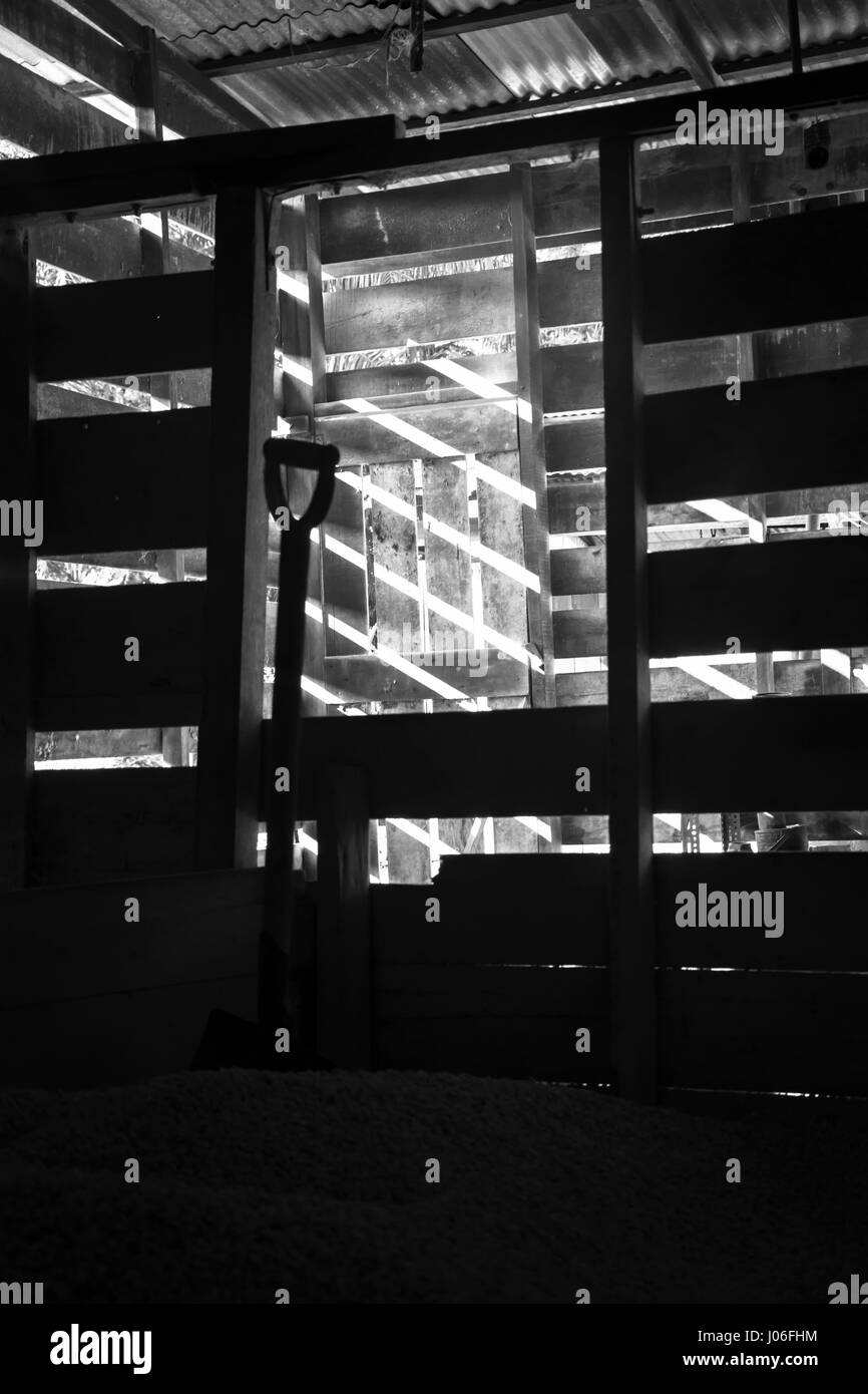 House dust Black and White Stock Photos & Images - Alamy