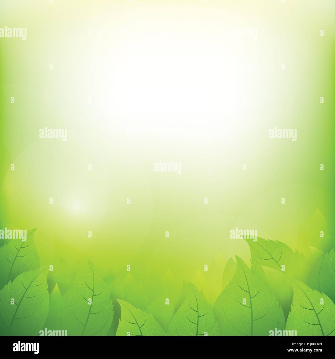 Abstract gradient green background with transparency leaf for ecology ...