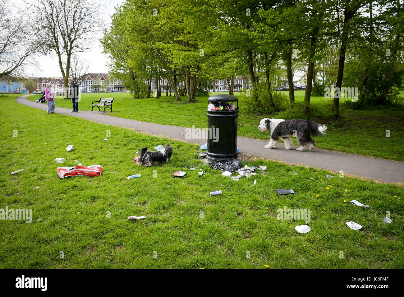 Rubbish and litter is strewn around a bin at Victoria Park in ...