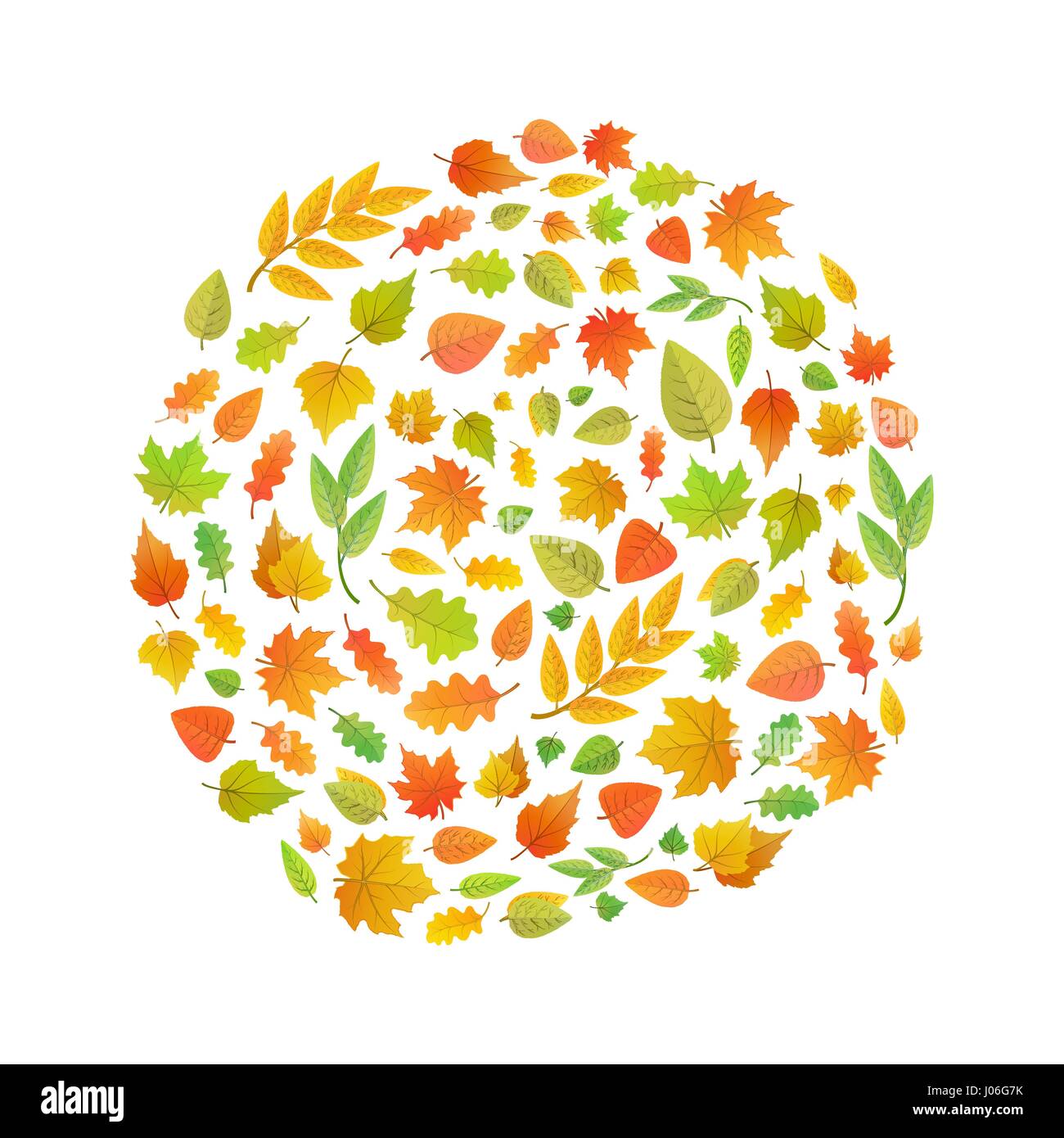 A lot of autumn leaves in circle shape isolated on white Stock Vector ...