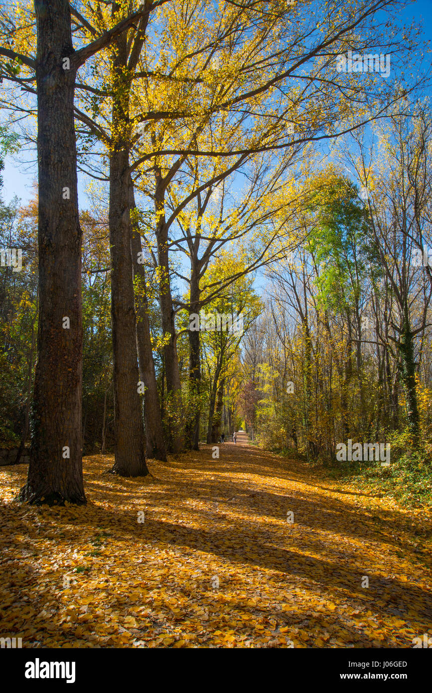 Natural way in Autumn. Rascafria, Madrid province, Spain Stock Photo ...