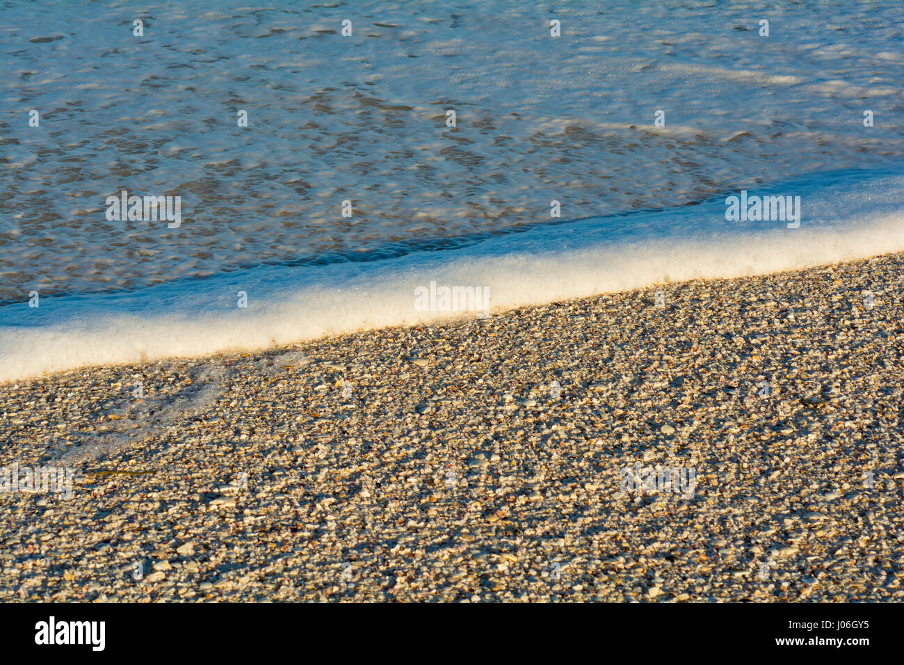 shells and waves Stock Photo - Alamy