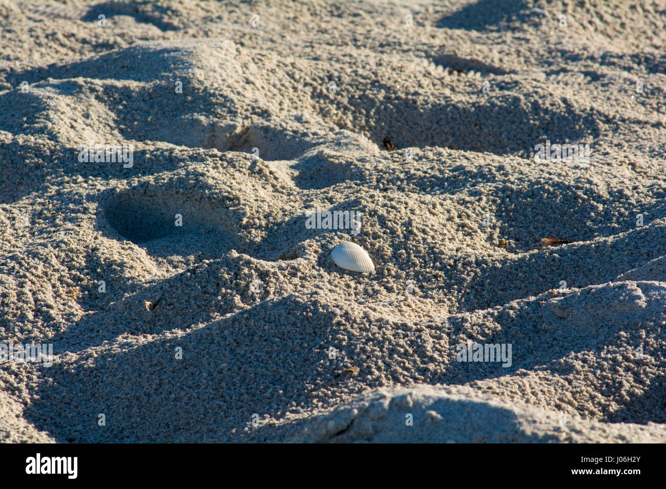 rough sand early mosing light on beach Stock Photo - Alamy