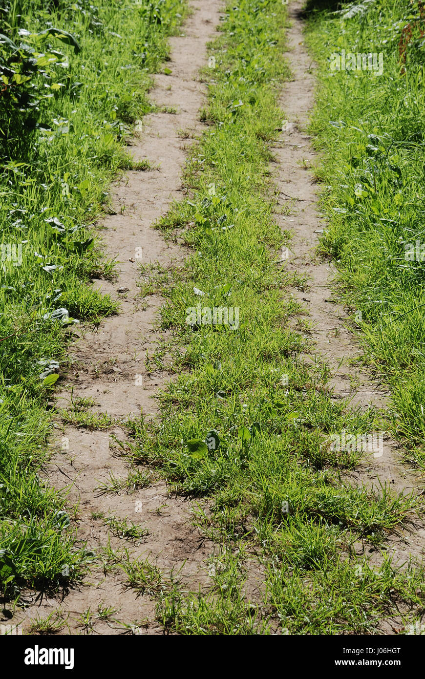 A path in summer Stock Photo - Alamy
