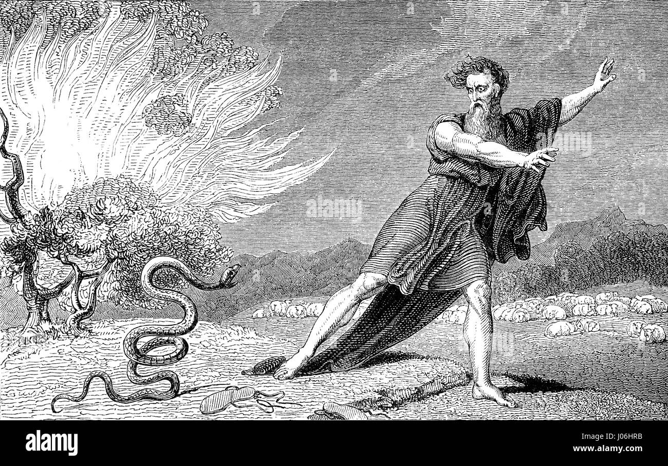 Book Of Exodus Hebrew