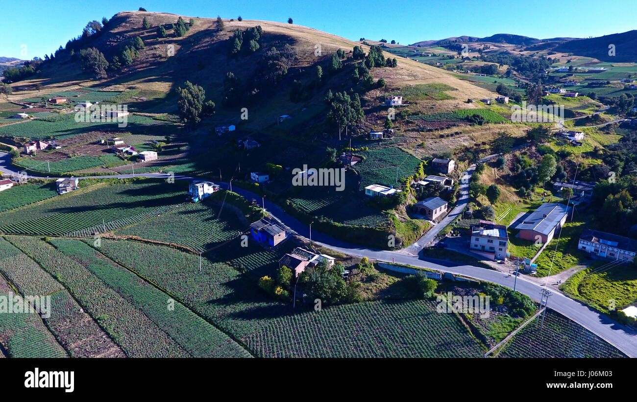 Onion fields around Lago de Tota, Colombia's largest alpine lake Stock ...