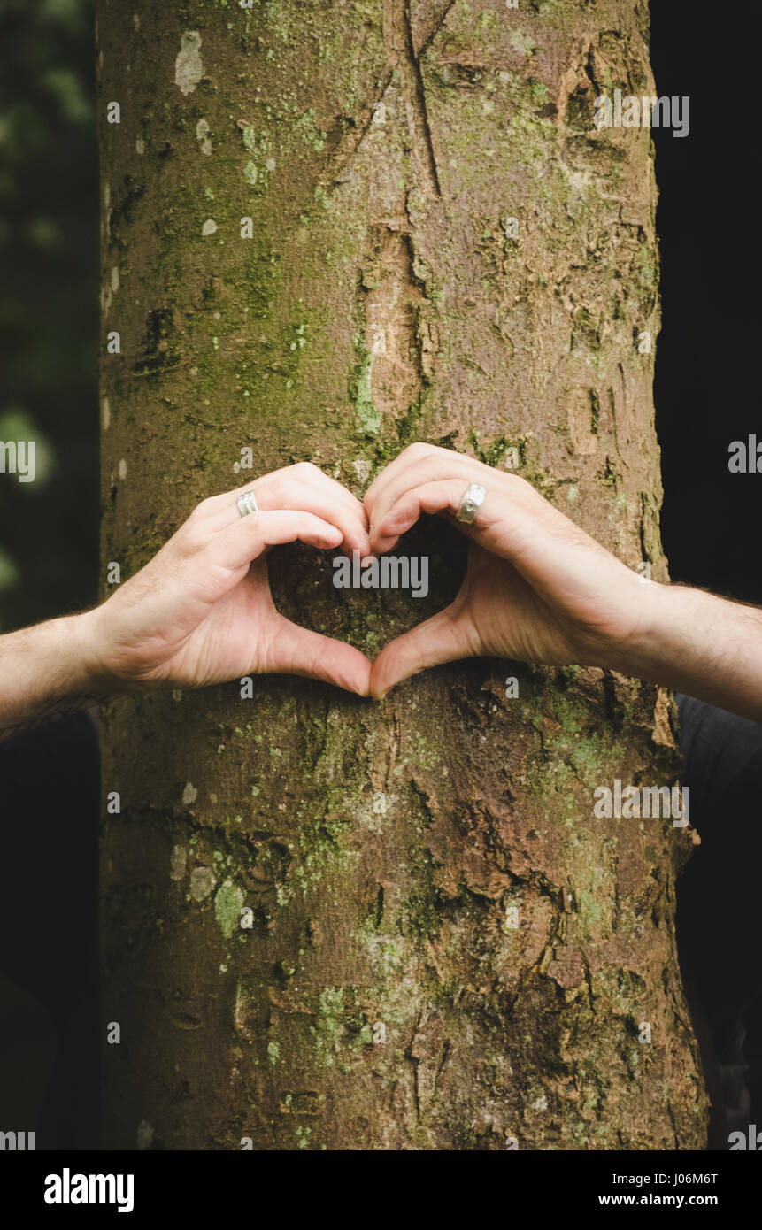 hand symbol heart with tree as a background Stock Photo - Alamy