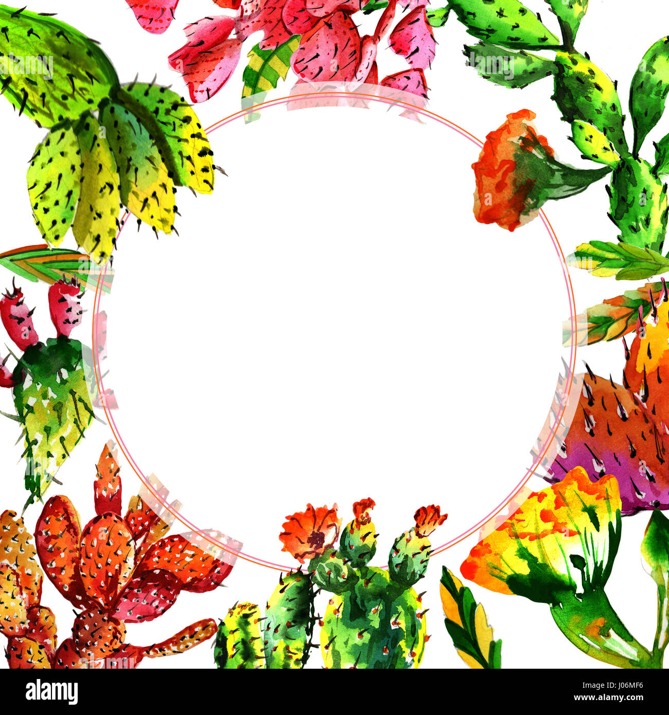 Tropical cactus tree frame in a watercolor style isolated Stock Photo ...