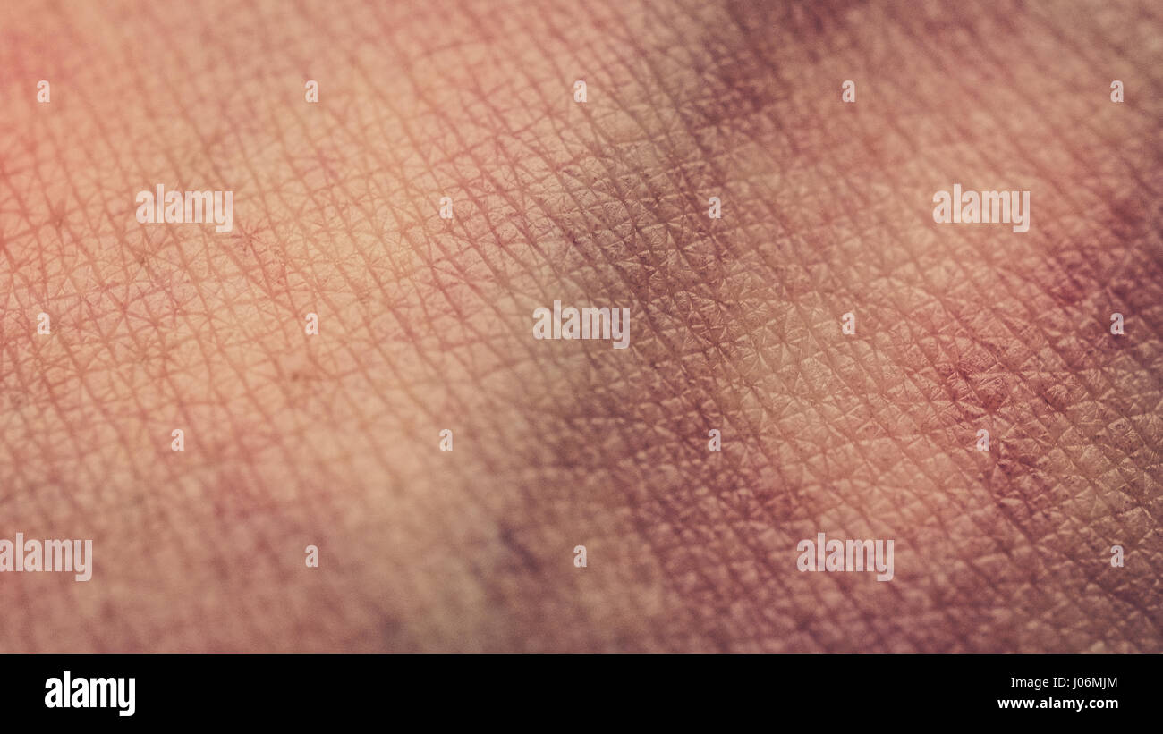 Skin Veins Texture