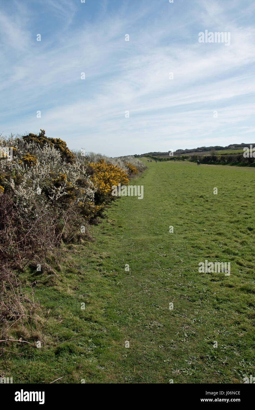 South west coast path, Studland Bay to Old Harry Rock Stock Photo - Alamy