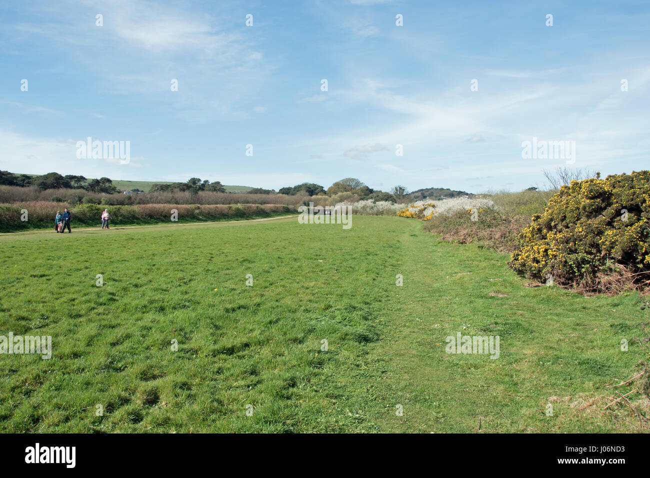 South west coast path, Studland Bay to Old Harry Rock Stock Photo - Alamy