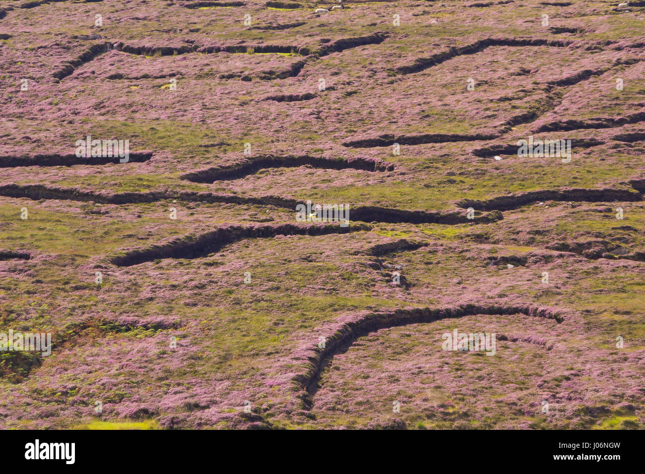 ARAN ISLAND, DONEGAL, IRELAND - Peat field, Aranmore or Aran Island ...