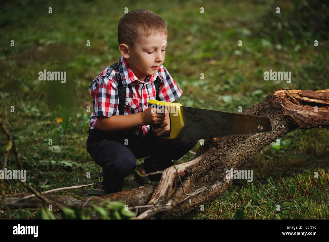 boy sawing fallen tree in garden Stock Photo - Alamy