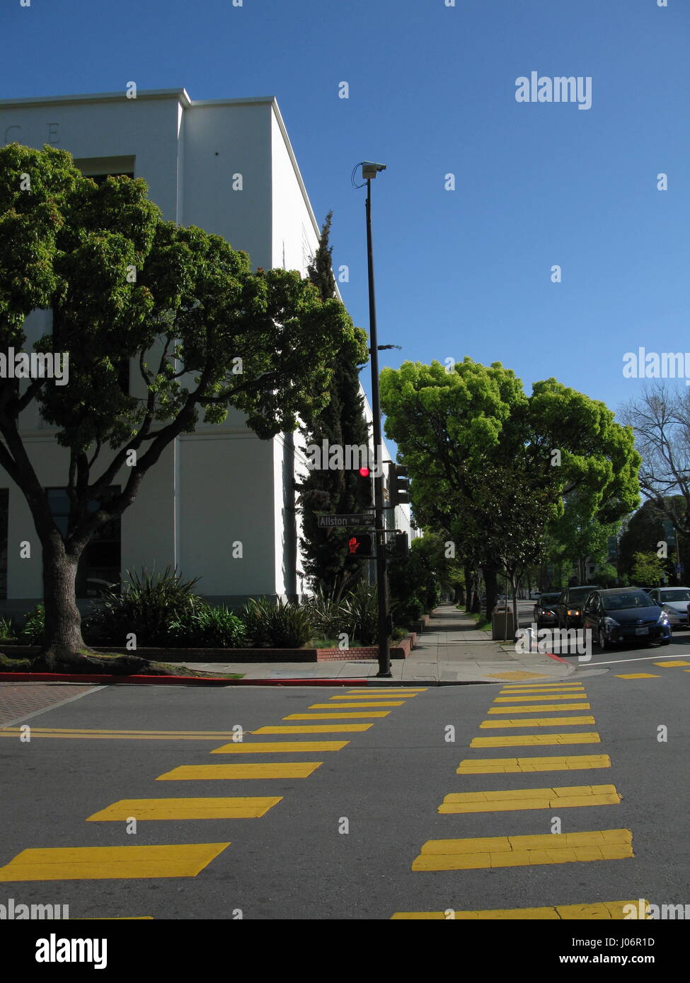 Student planting trees hi-res stock photography and images - Alamy
