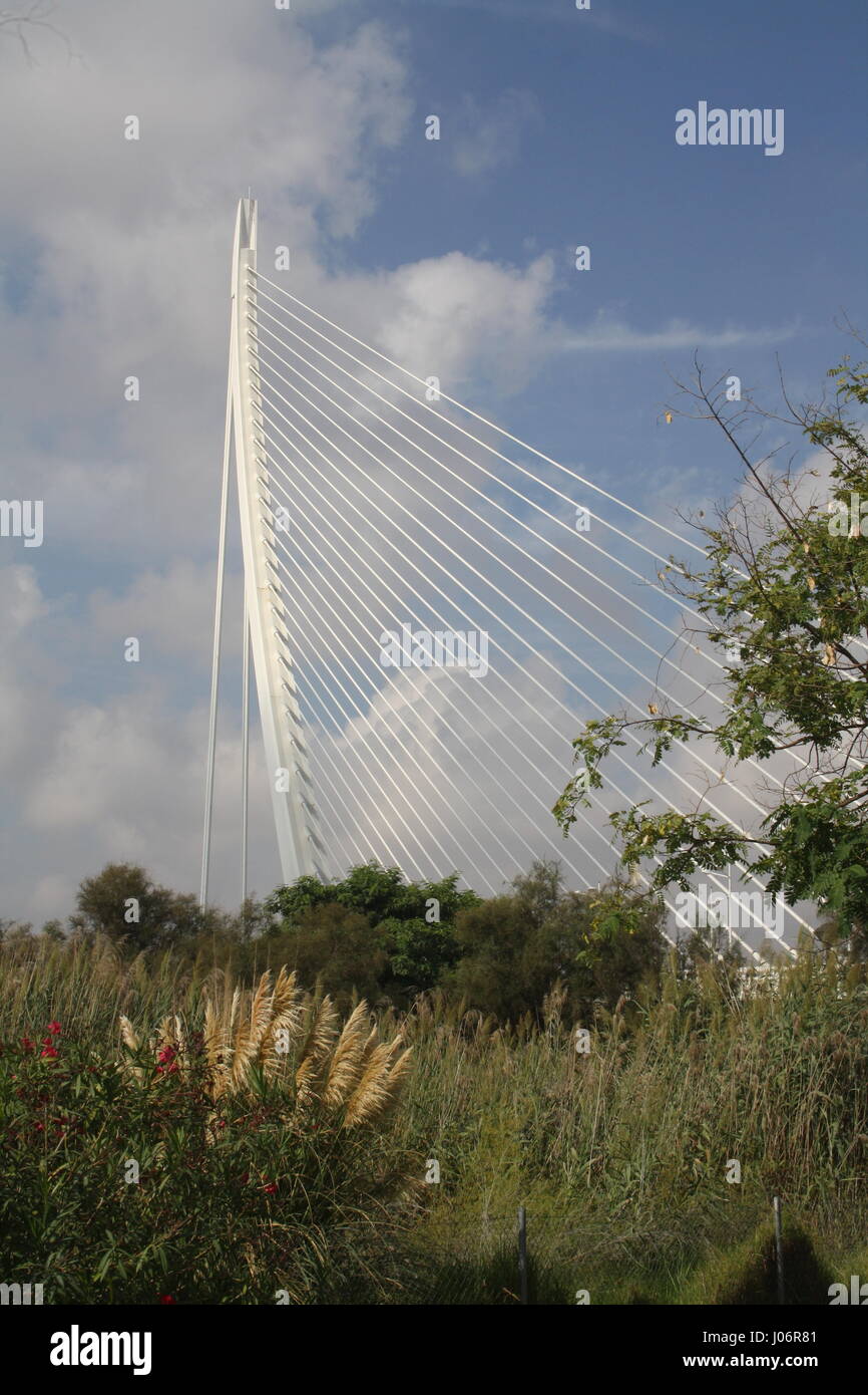 Assut de l'Or Bridge and Turia Gardens, City of Arts and Sciences ...