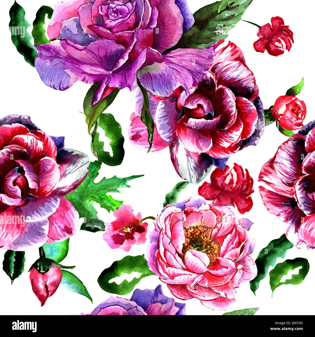 Wildflower peony flower pattern in a watercolor style isolated Stock ...