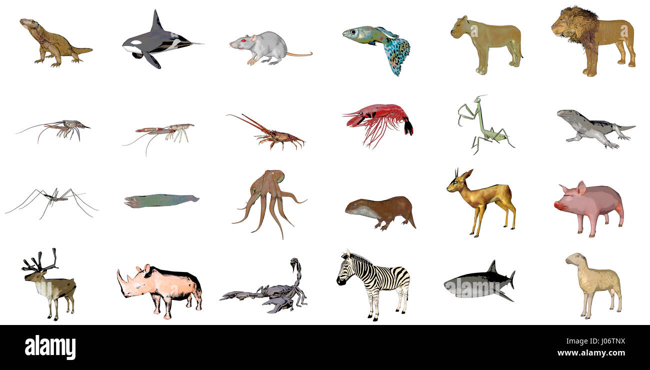Big collection of sketch animals isolated on white 3d rendering Stock ...