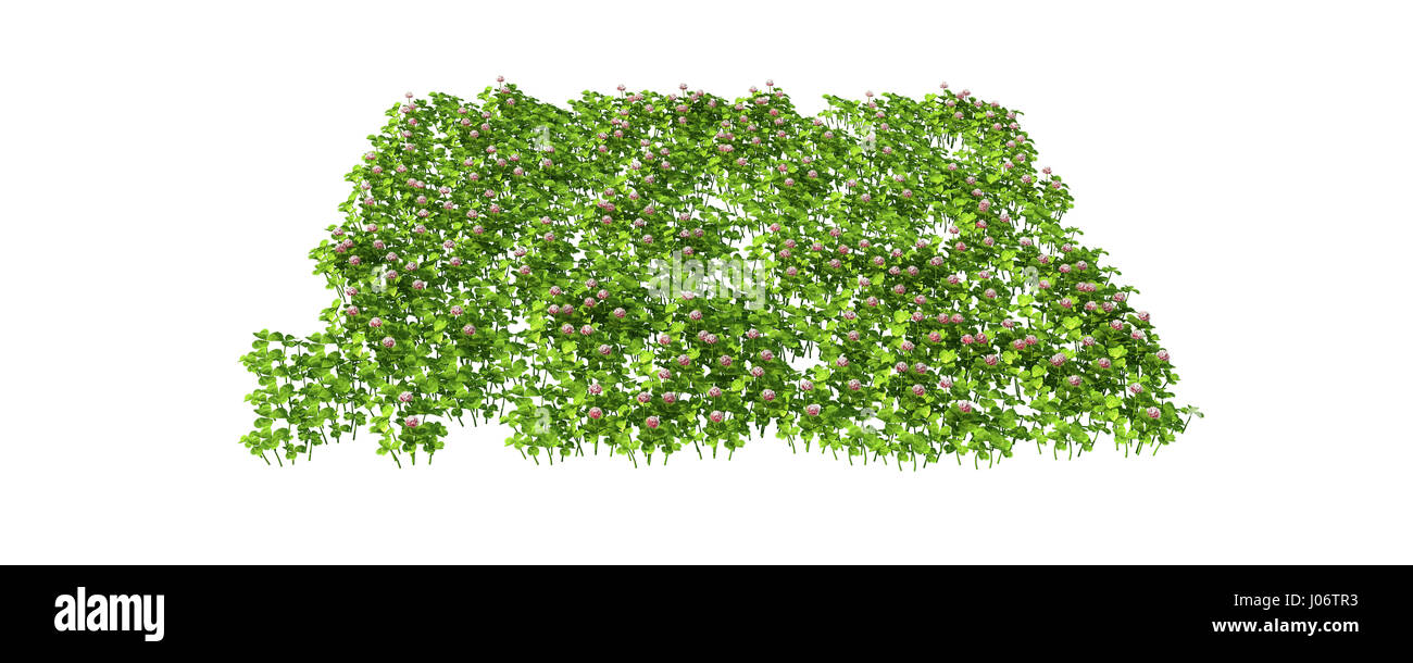 3d rendering of a grass patch isolated on white for architecture design ...