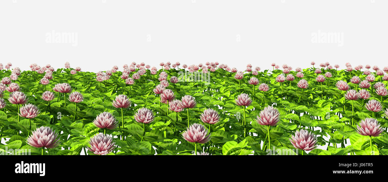 Green grass with flowers. isolated on white background 3d rendering ...