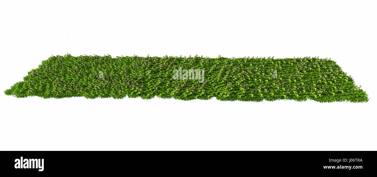 3d rendering of a grass patch isolated on white for architecture design ...