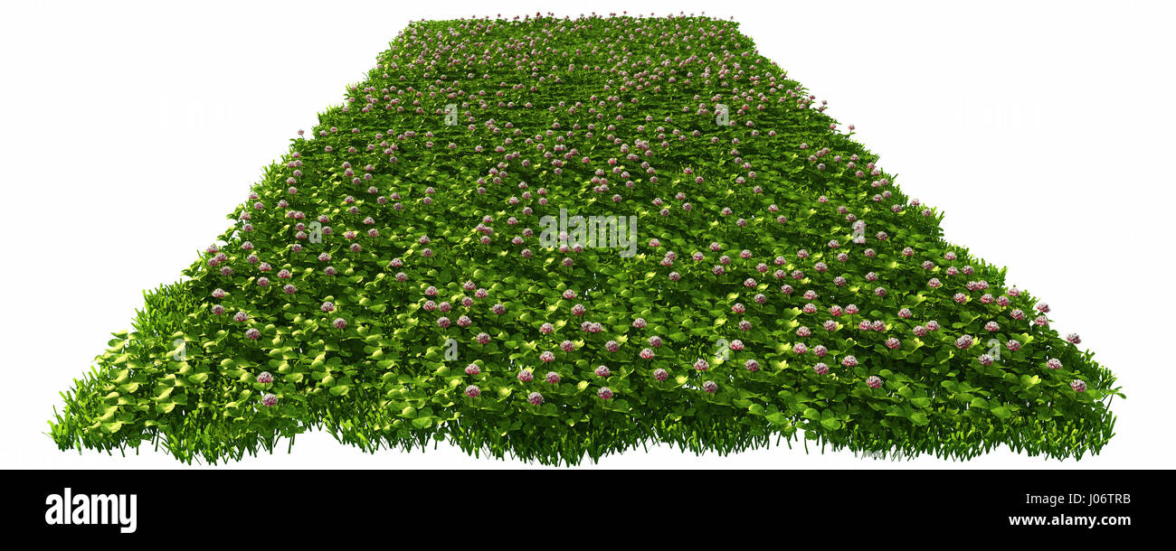 Green grass with flowers. isolated on white background 3d rendering ...