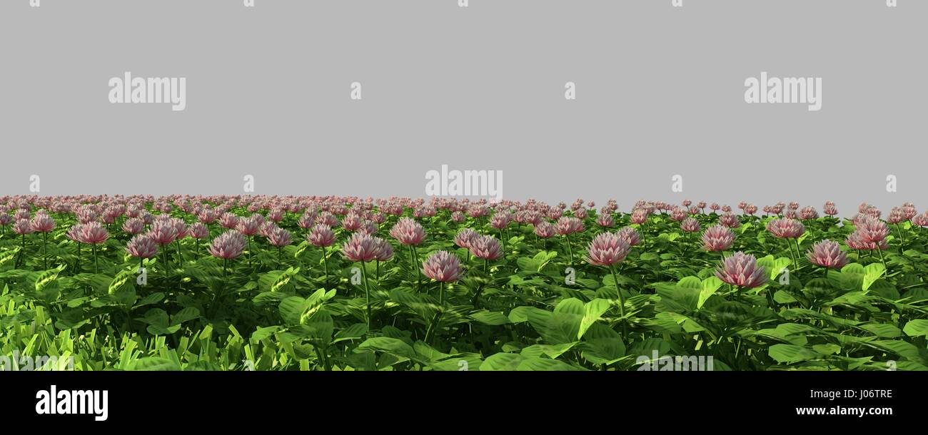 Green grass with flowers. isolated on white background 3d rendering ...