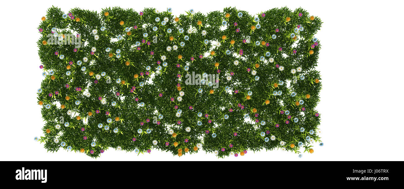 Green grass with flowers. isolated on white background 3d rendering ...