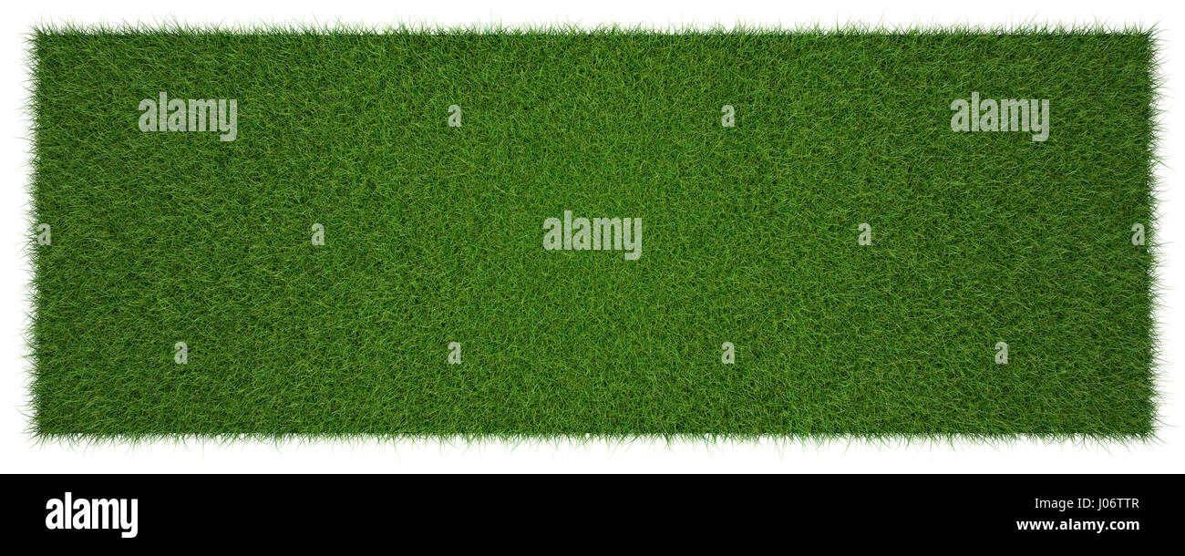 3d rendering of a grass patch isolated on white for architecture design ...