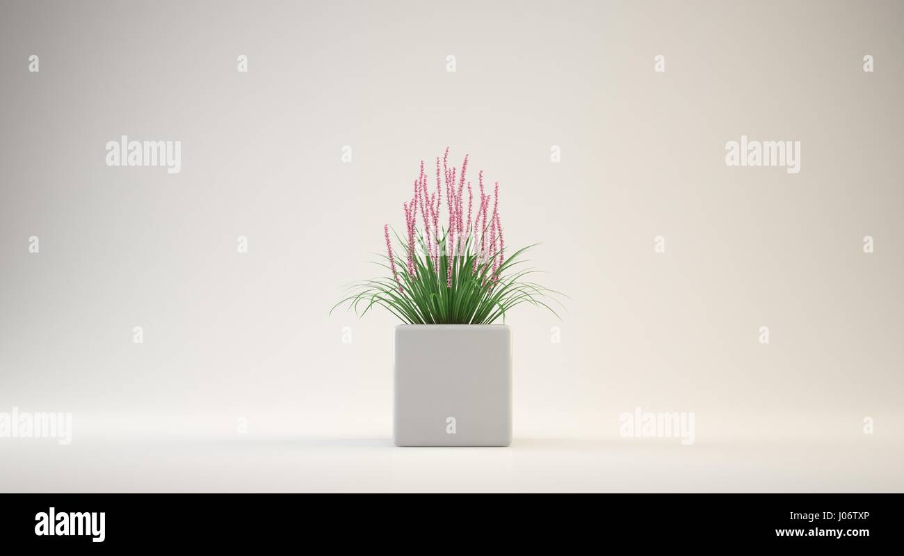 3d rendering of a flower pot for interior or conceptual design Stock ...