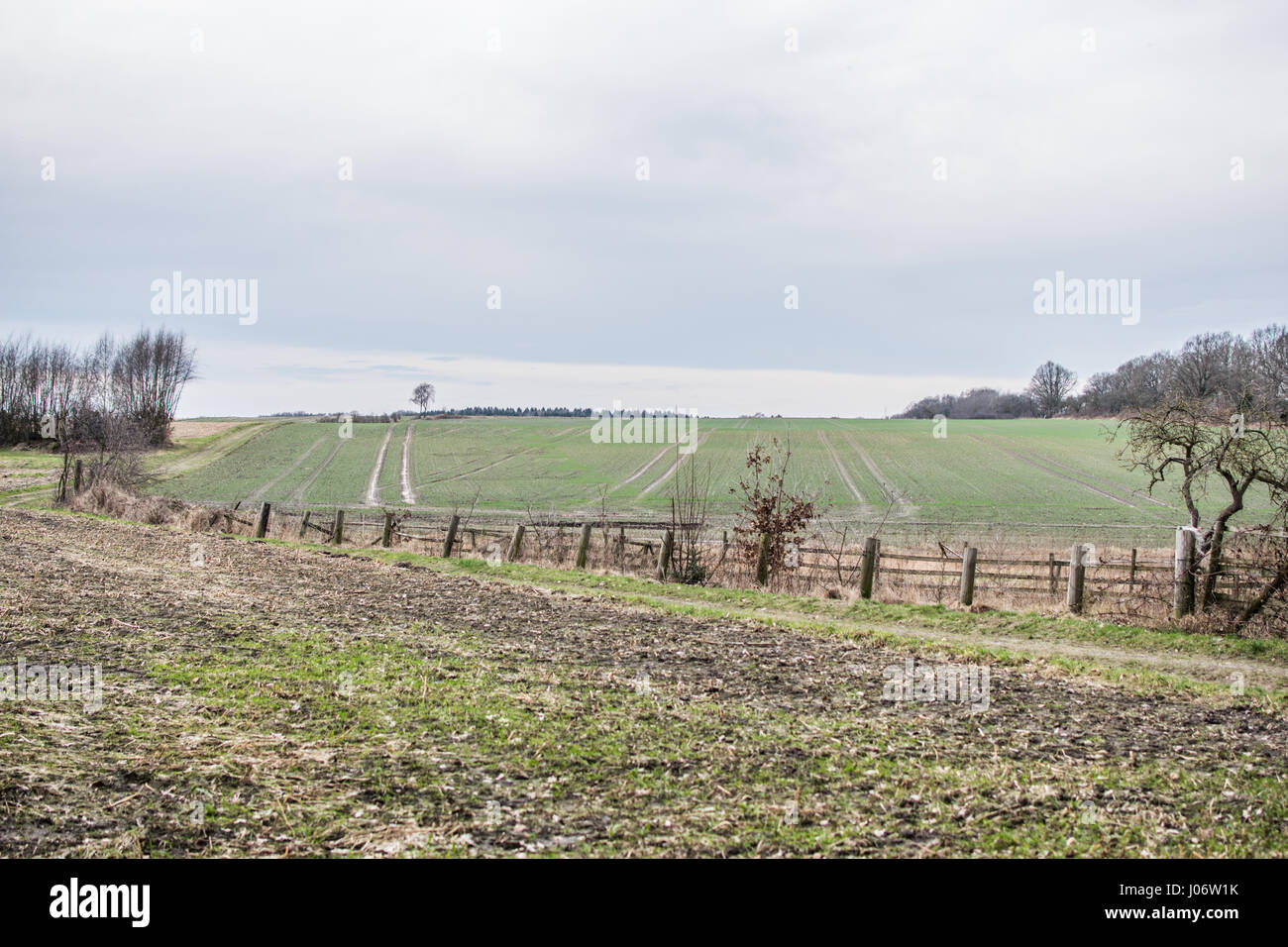 landscape with isolated trees Stock Photo - Alamy