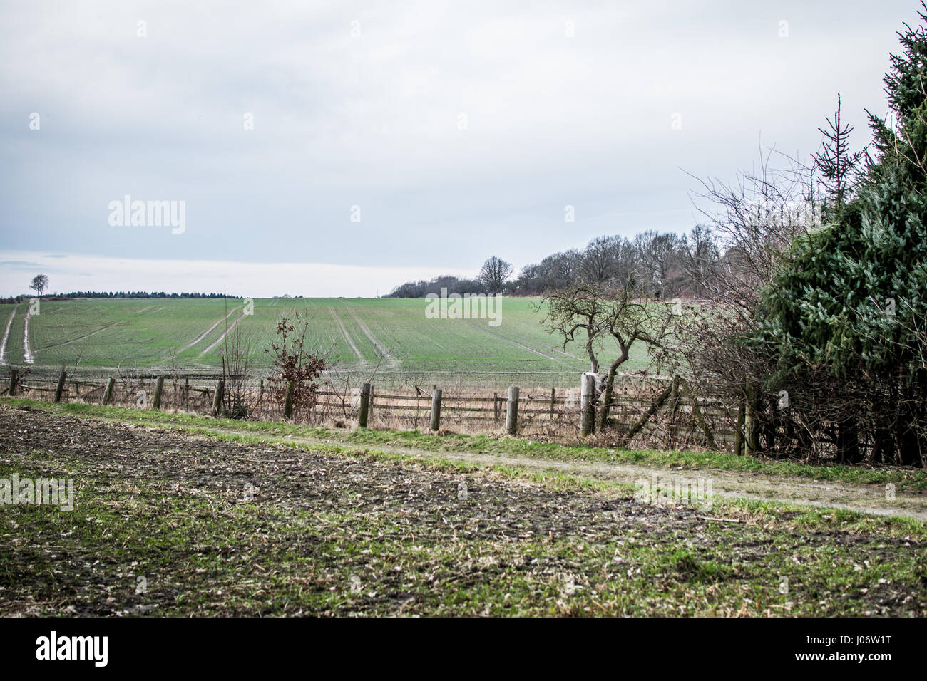 landscape with isolated trees Stock Photo - Alamy