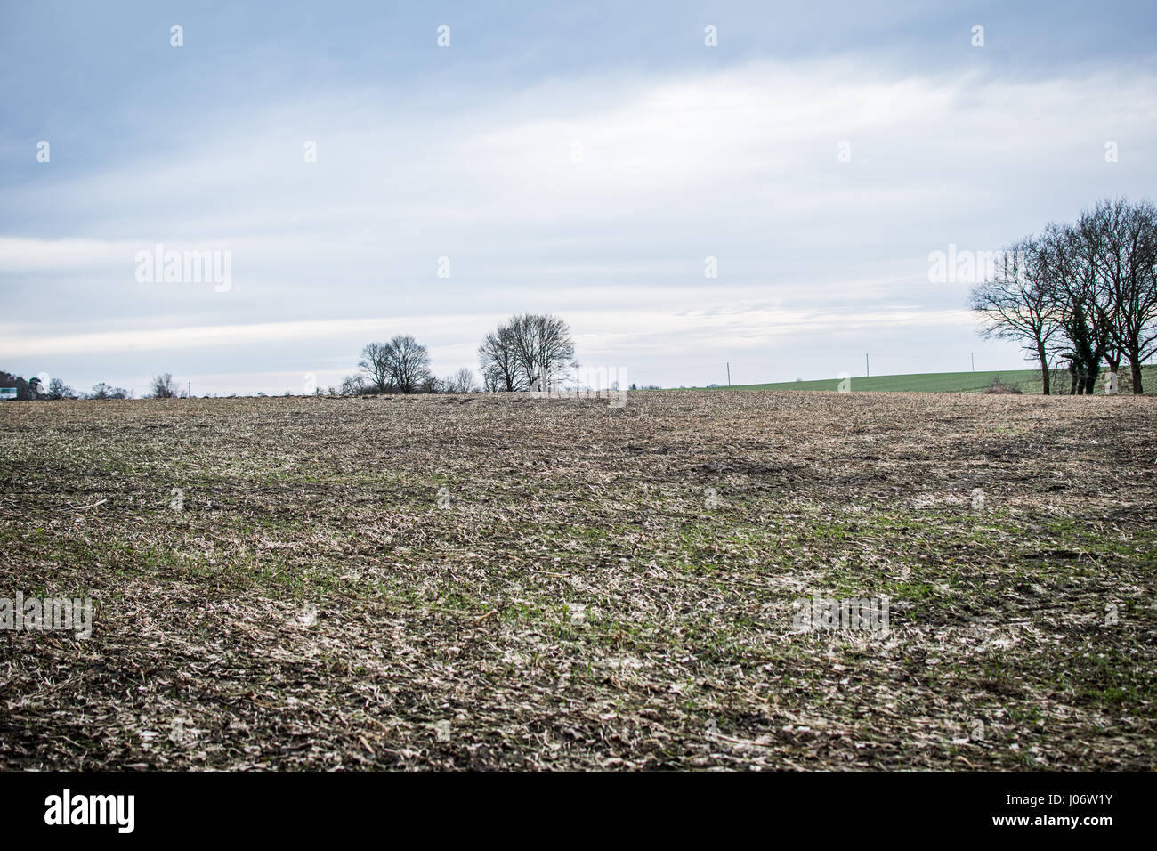 landscape with isolated trees Stock Photo - Alamy