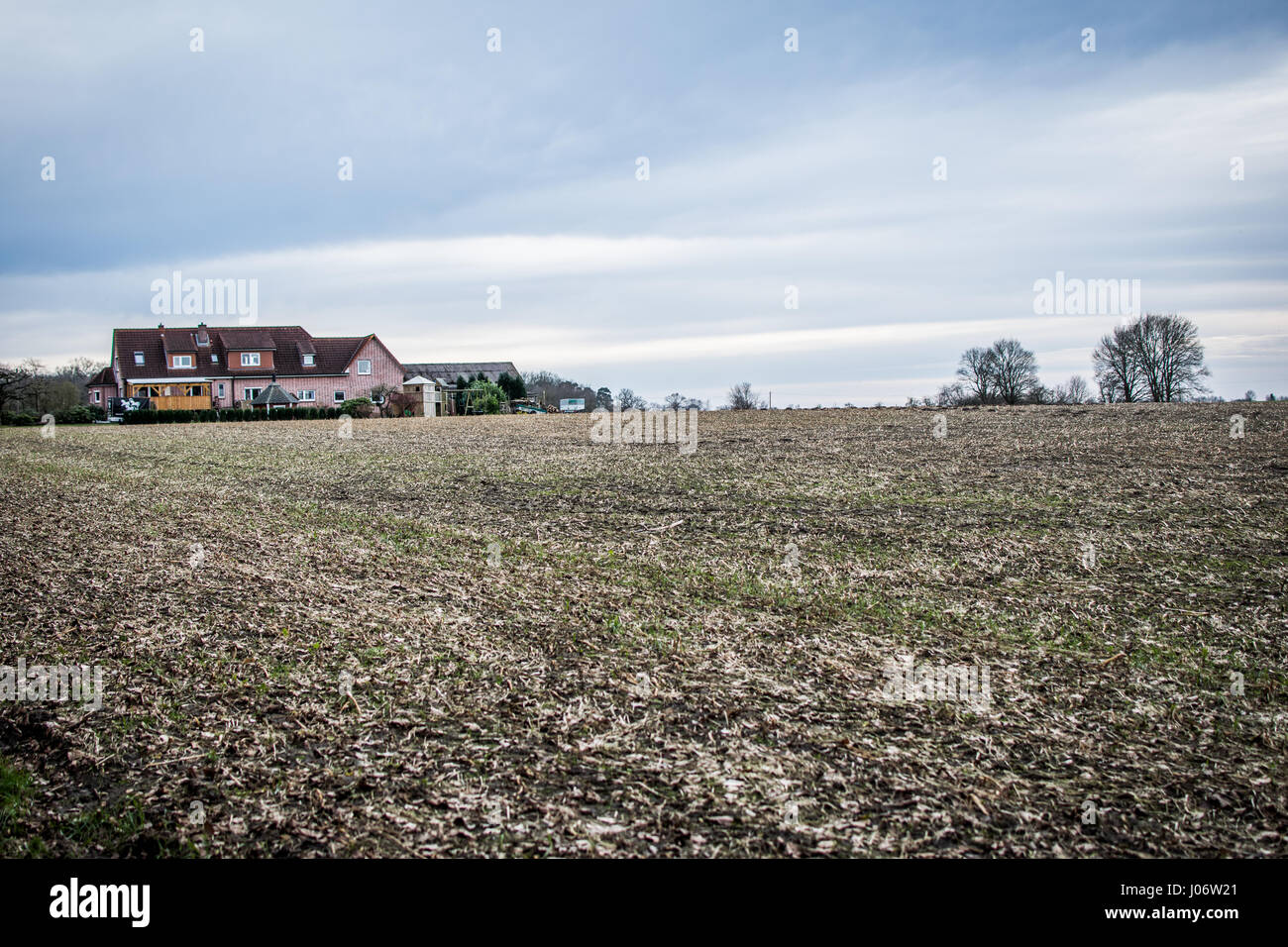 landscape with isolated trees Stock Photo - Alamy