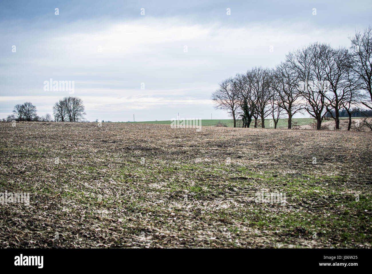 landscape with isolated trees Stock Photo - Alamy