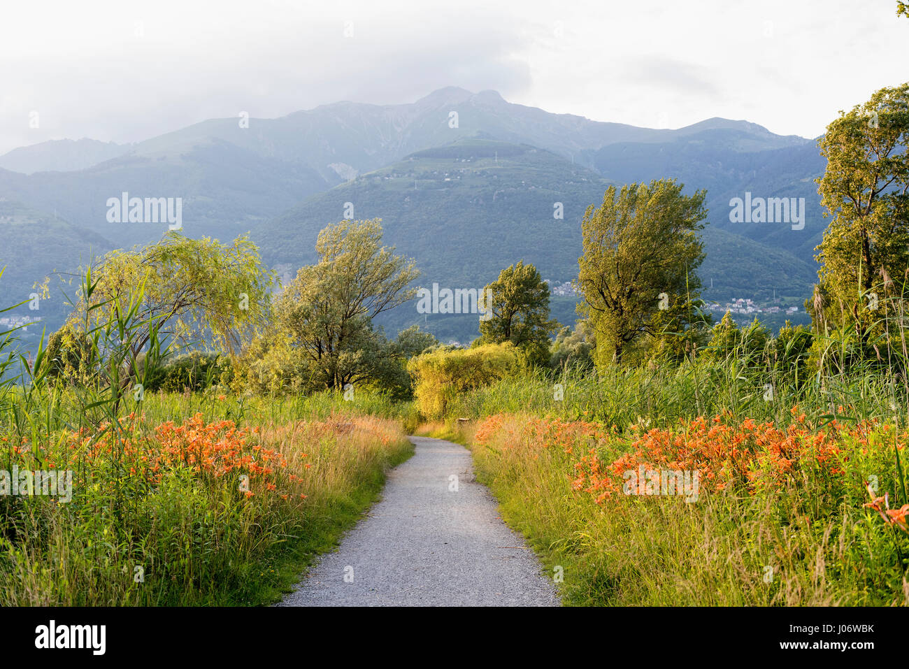 The path for pedestrian anc bicycle known as Sentiero Valtellina near ...