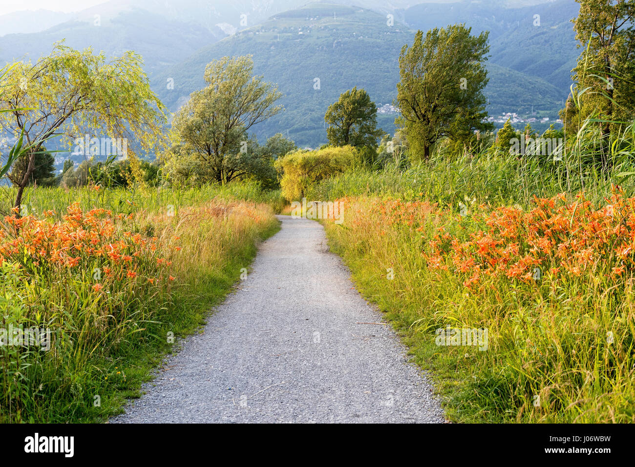 The path for pedestrian anc bicycle known as Sentiero Valtellina near ...