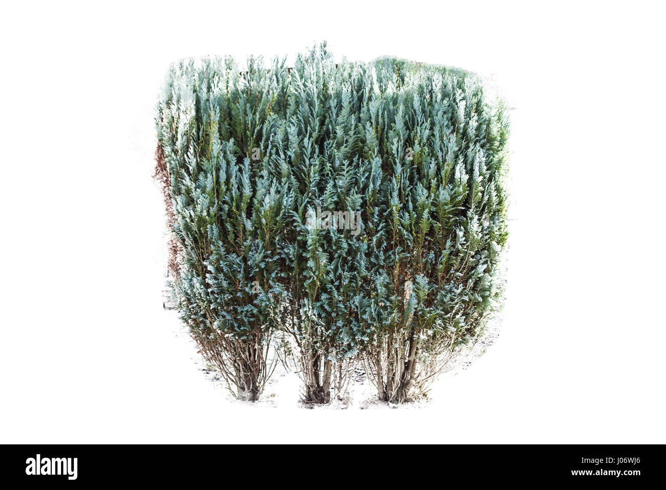 Front view green street Cut Out Stock Images & Pictures - Alamy