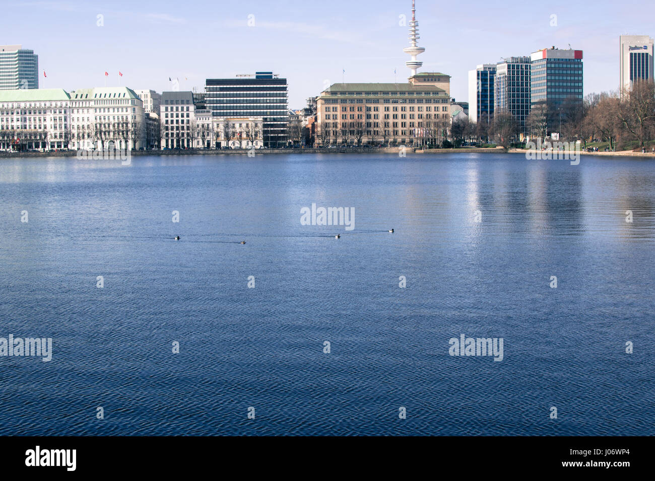 Alster lake in hamburg Stock Photo - Alamy