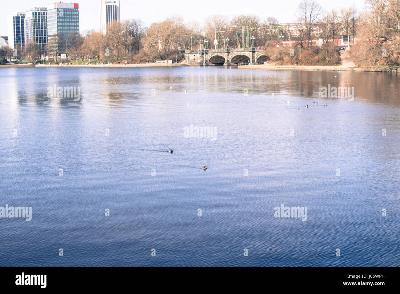 Alster lake in hamburg Stock Photo - Alamy