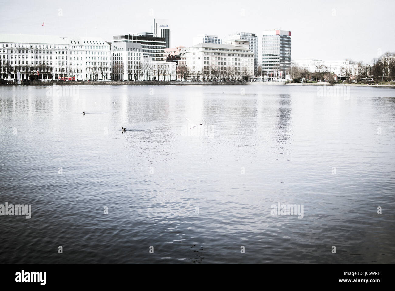 Alster lake in hamburg Stock Photo - Alamy