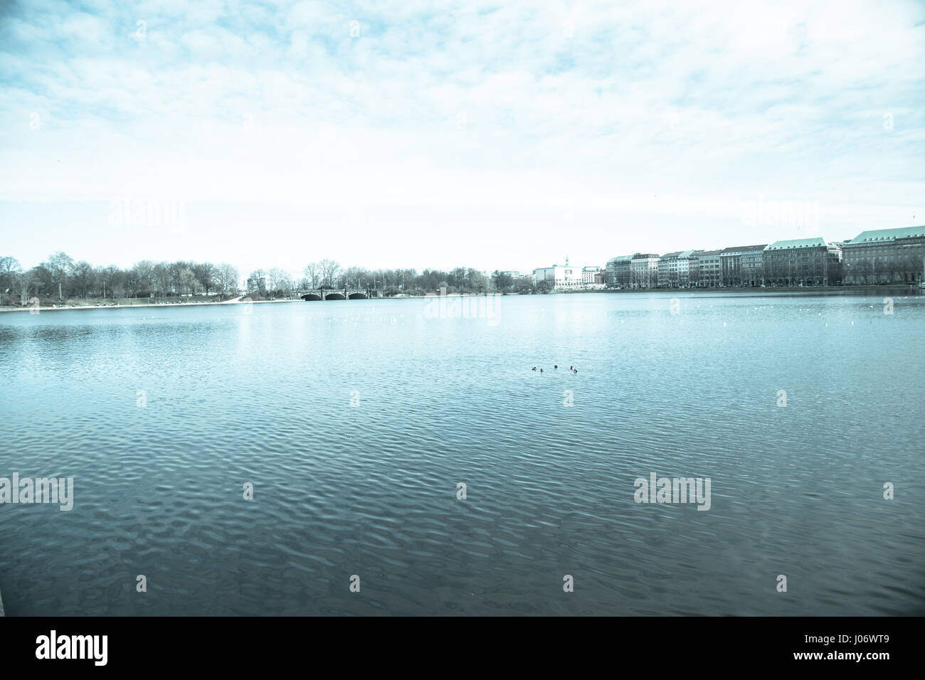 Alster lake in hamburg Stock Photo - Alamy