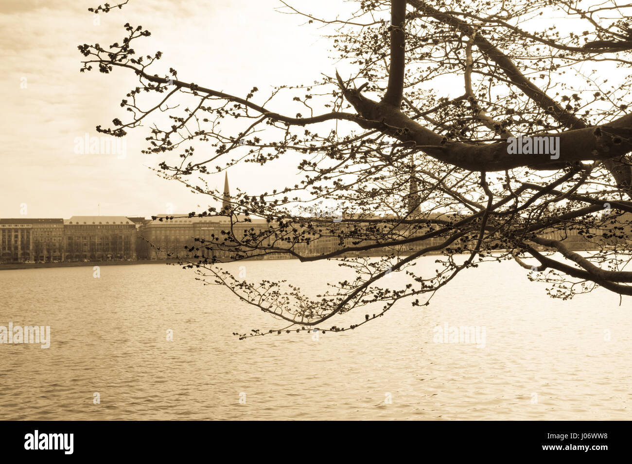 Alster lake in hamburg Stock Photo - Alamy