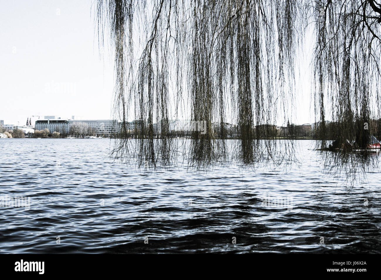 tree branches on lake water Stock Photo - Alamy