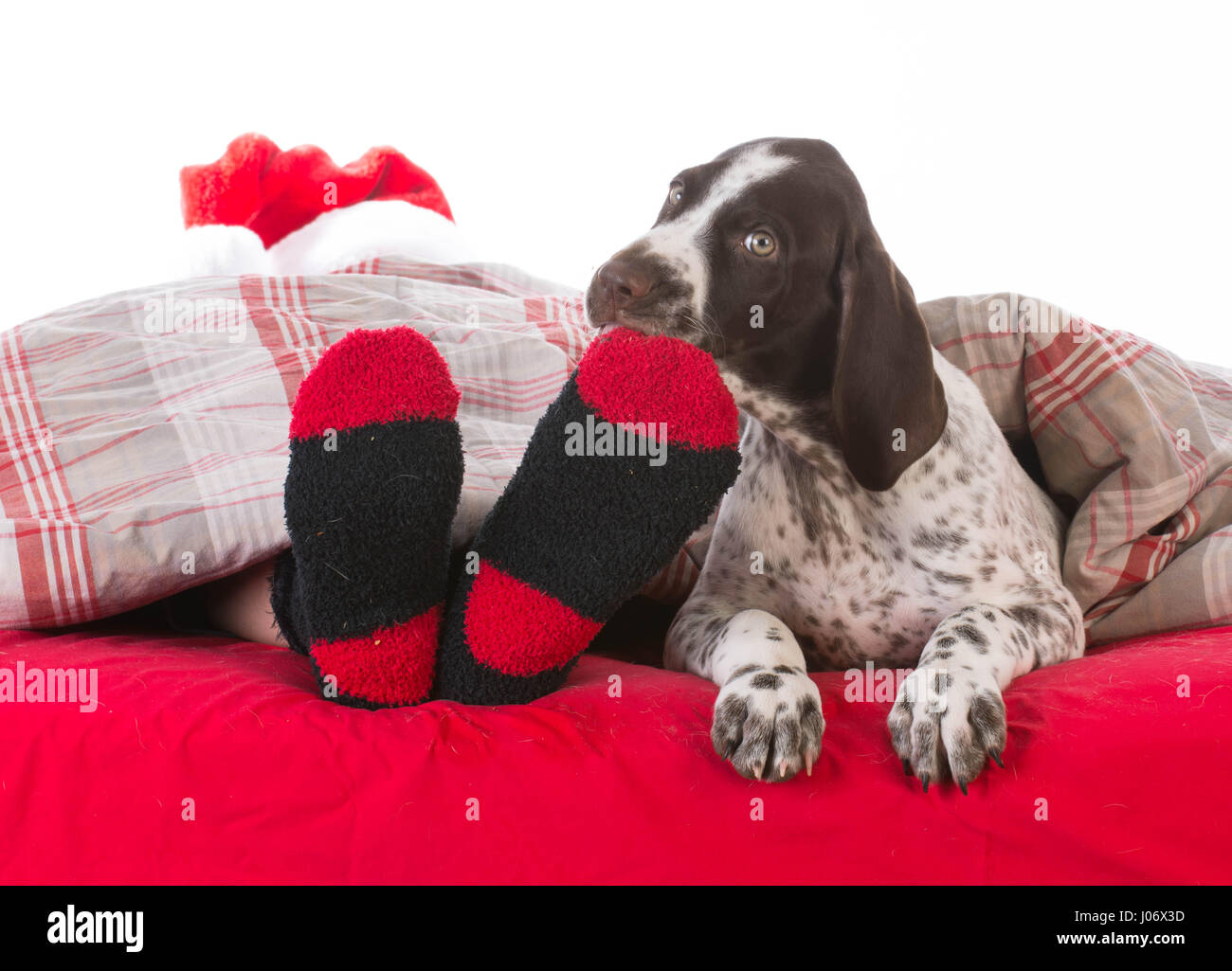 Licking toes hi-res stock photography and images - Alamy