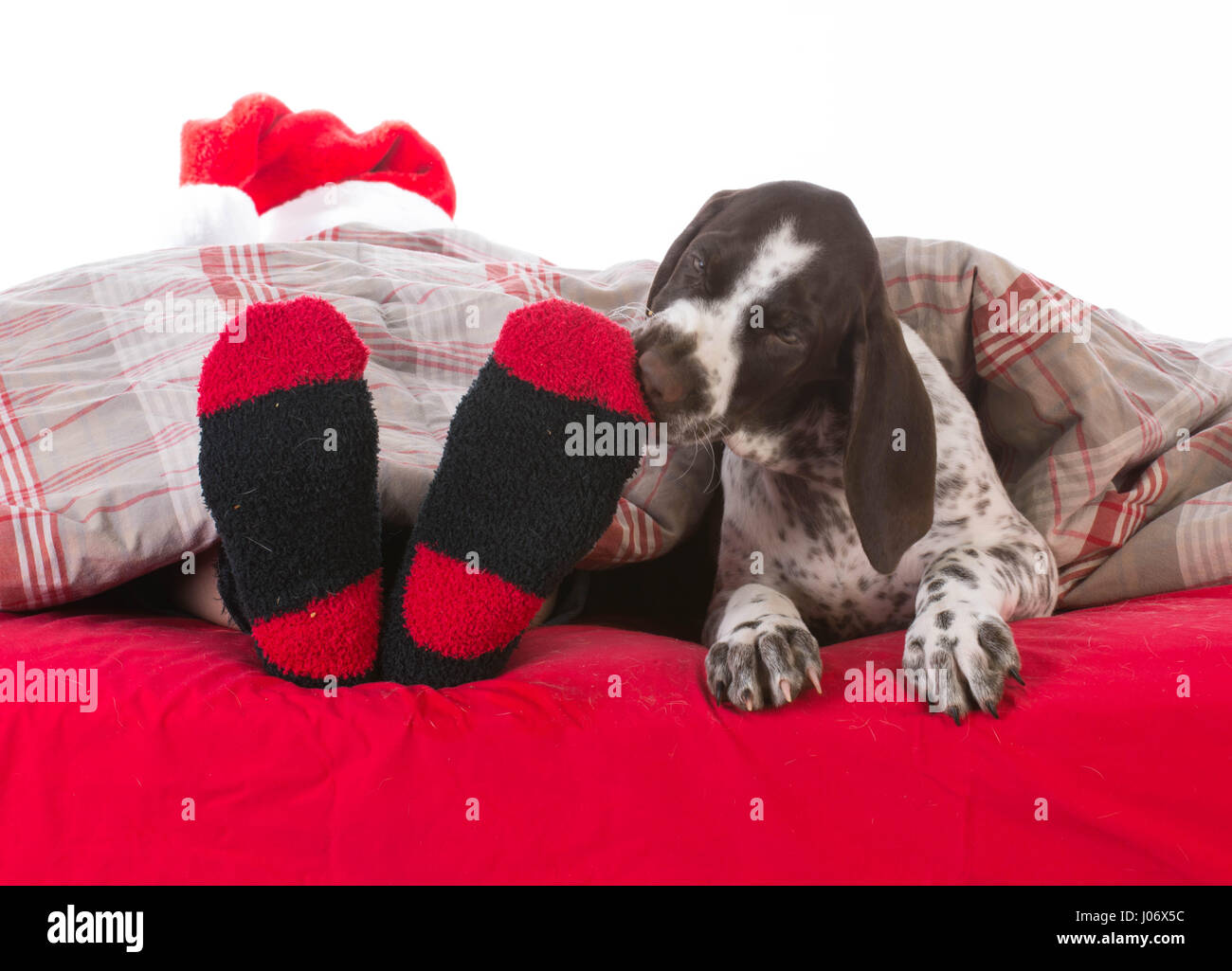 Licking toes hi-res stock photography and images - Alamy