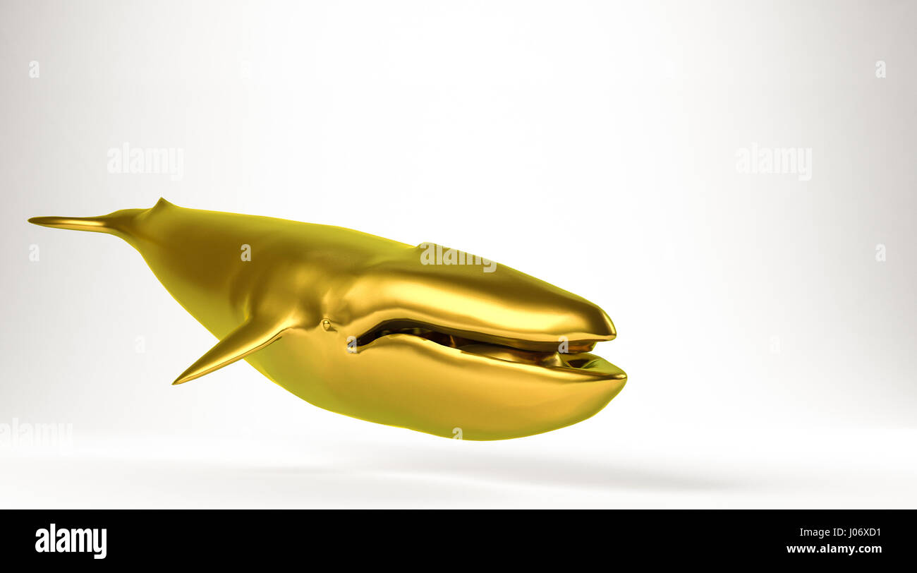 Whale belly button hi-res stock photography and images - Alamy