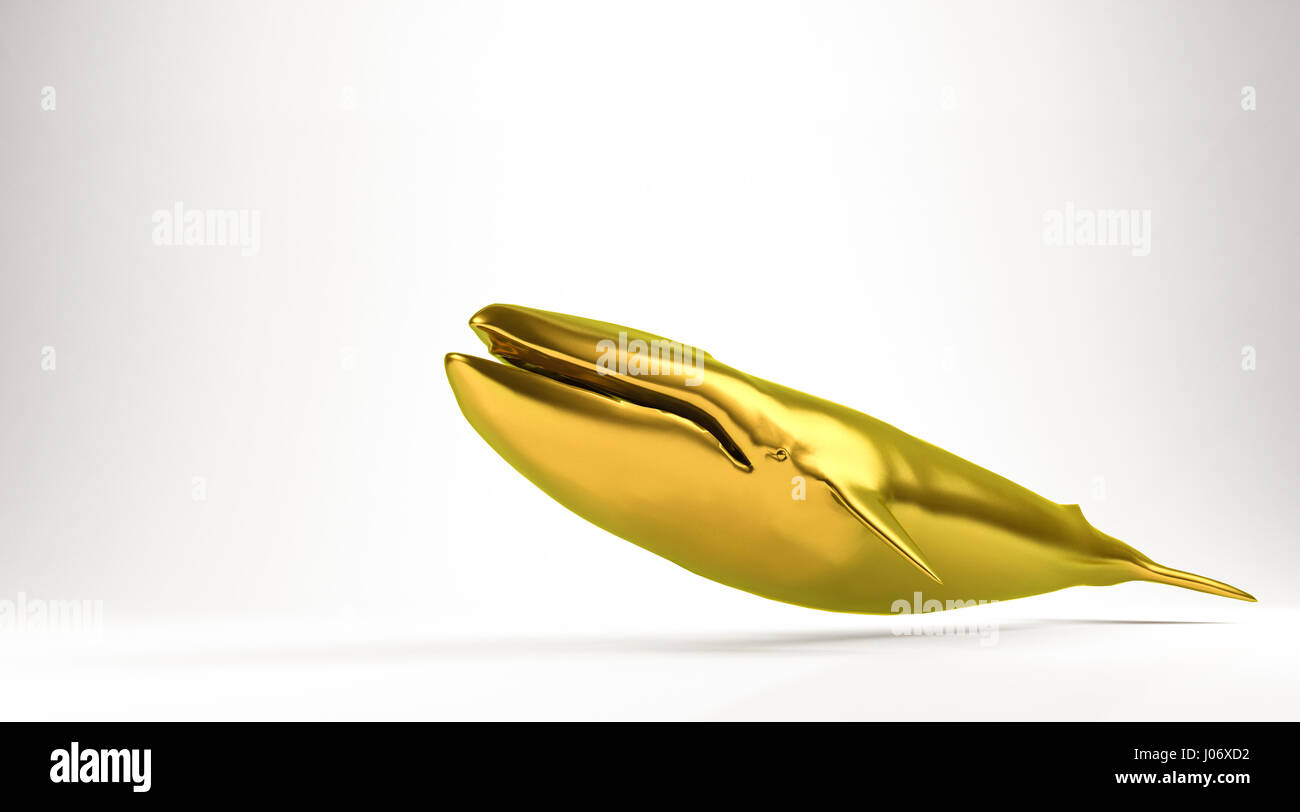 Whale belly button hi-res stock photography and images - Alamy